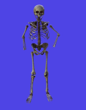 Garry's Mod Player Model List